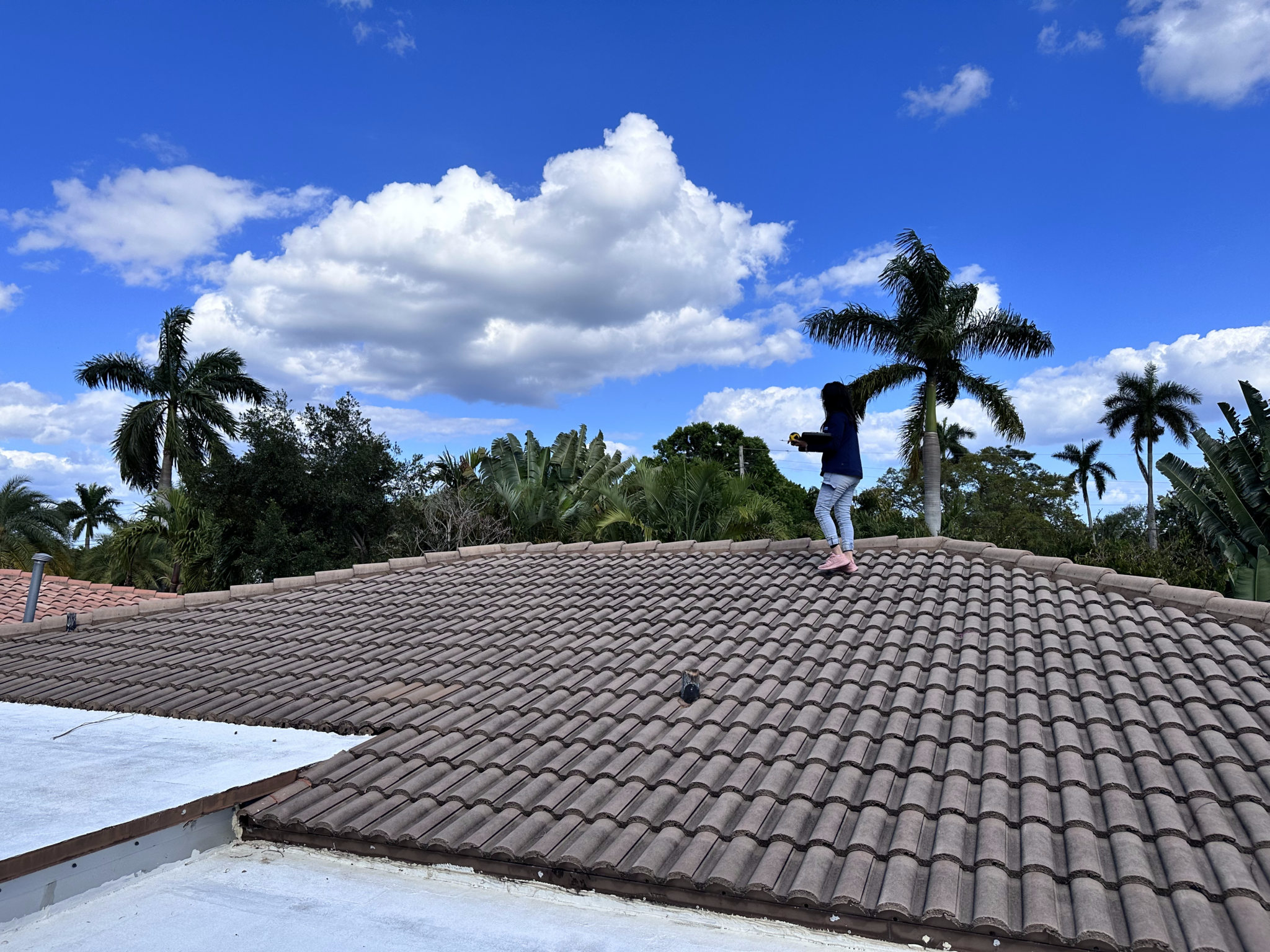 Roof Maintenance: 5 Important Tips For Year-Round Care